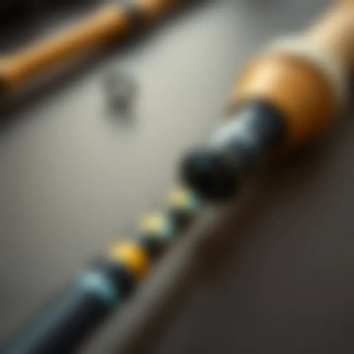 A Detailed Review of the Penn Battle Surf Rod